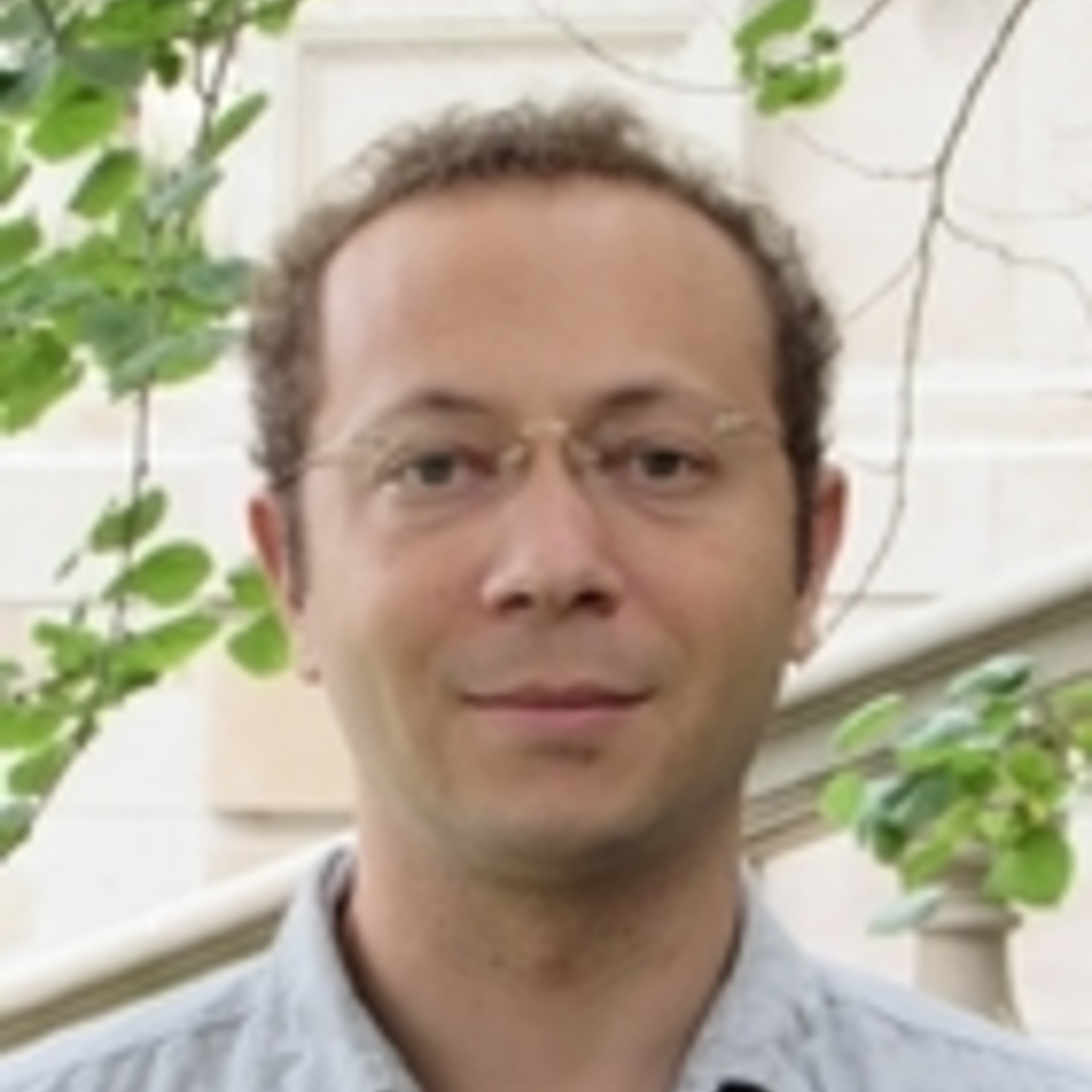 Faculty | Mathematics - College of Liberal Arts and Sciences | The ...